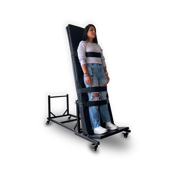 PDM Mobility Store | Ponte de pie con esta Silla Bipedestadora Eléctrica